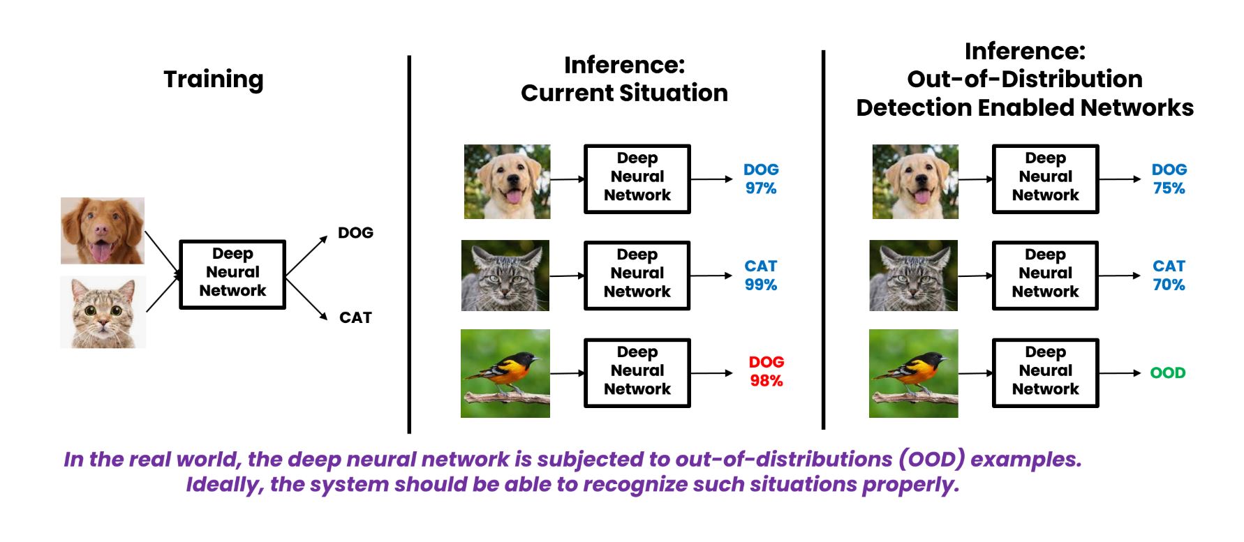 The Robust Deep Learning Library | David Macêdo